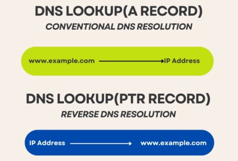 Understanding PTR DNS Records for Emailing - DuoCircle